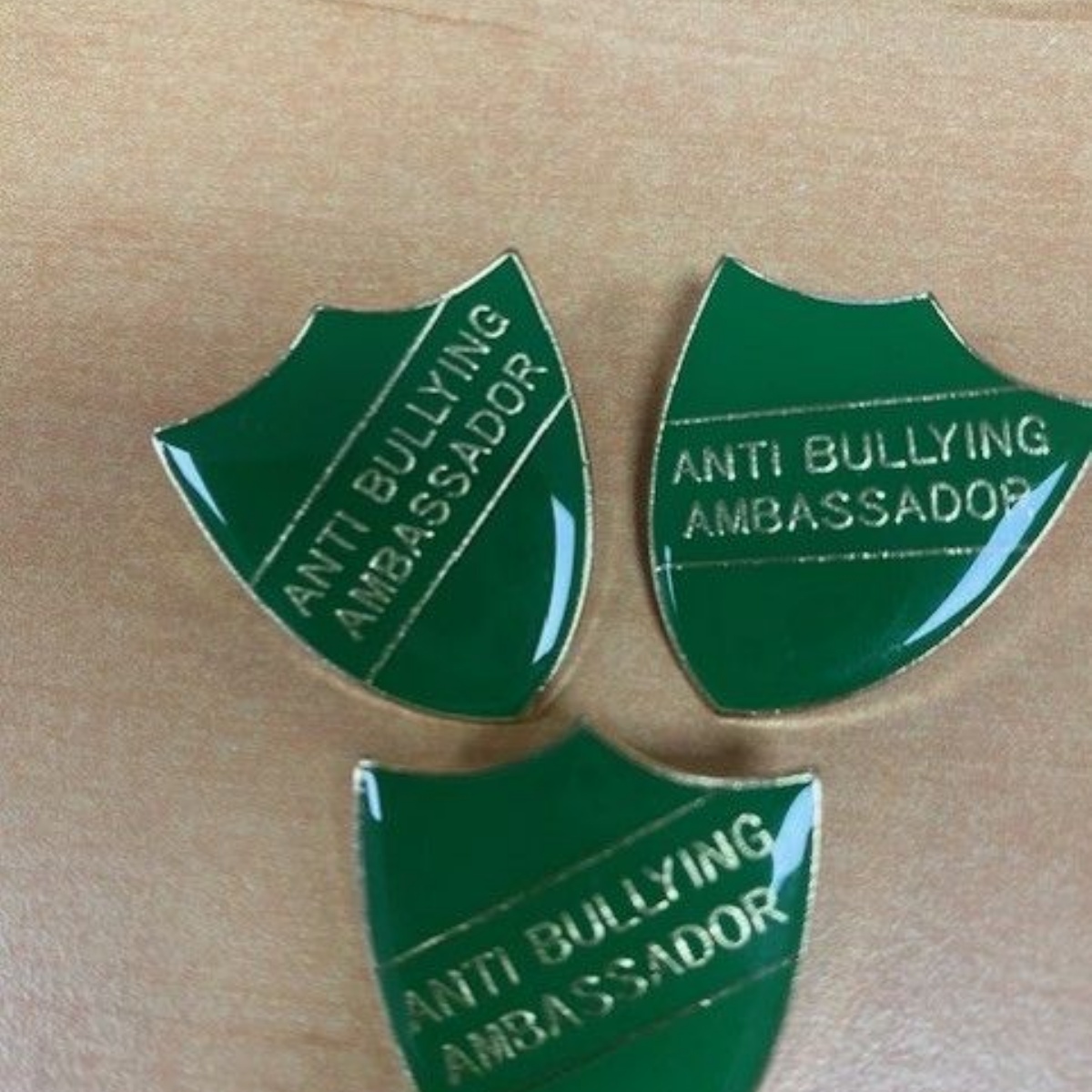 Golden Valley Primary School - New Anti-Bullying Ambassadors for 24/25!